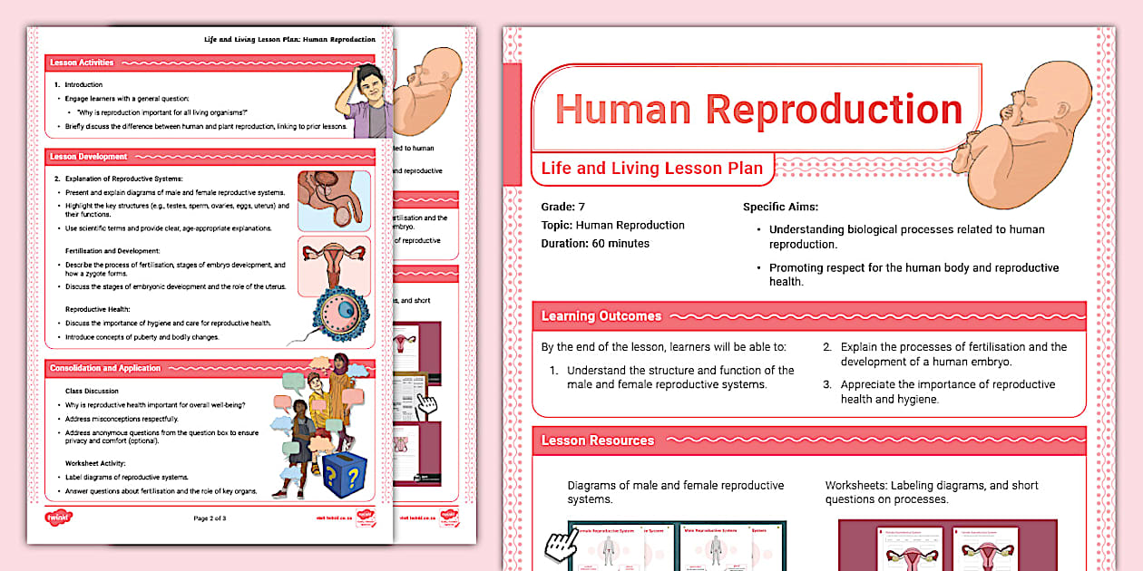 Grade 7 Lesson Plan: Life and Living - Human Reproduction