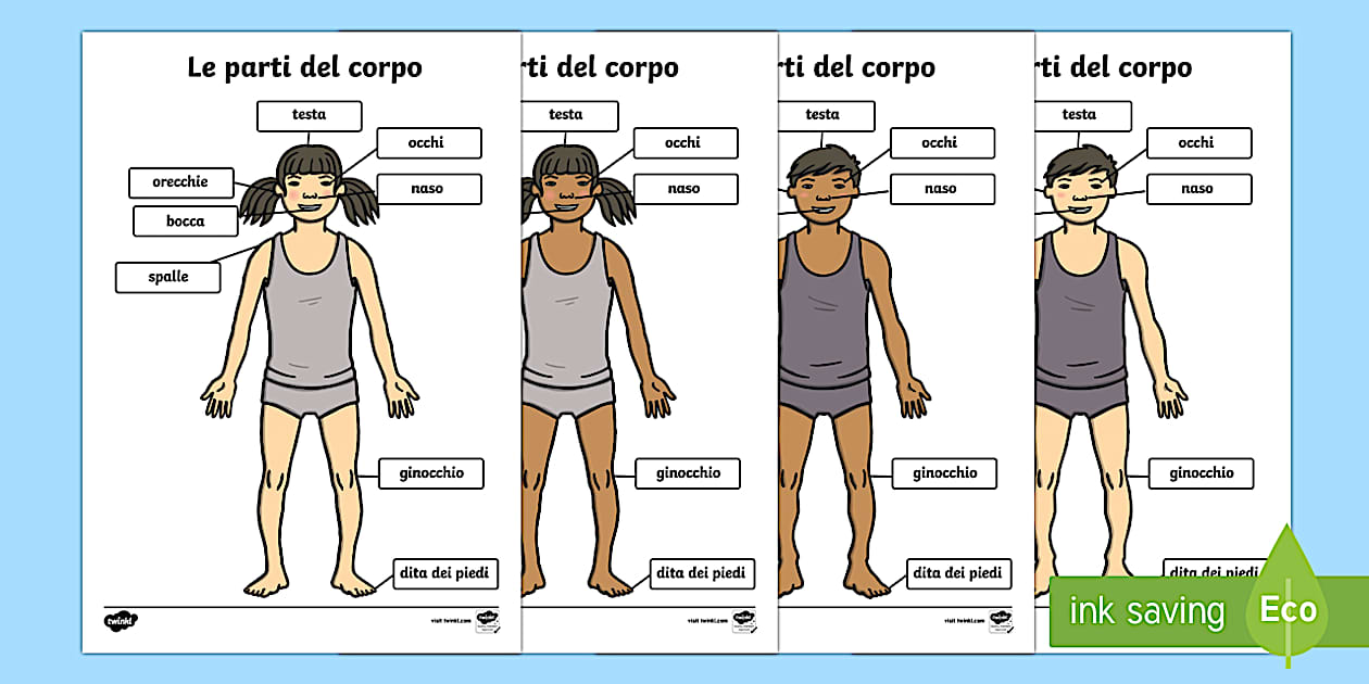 Parti del Corpo A4 Testa e Spalle Poster (Teacher-Made)
