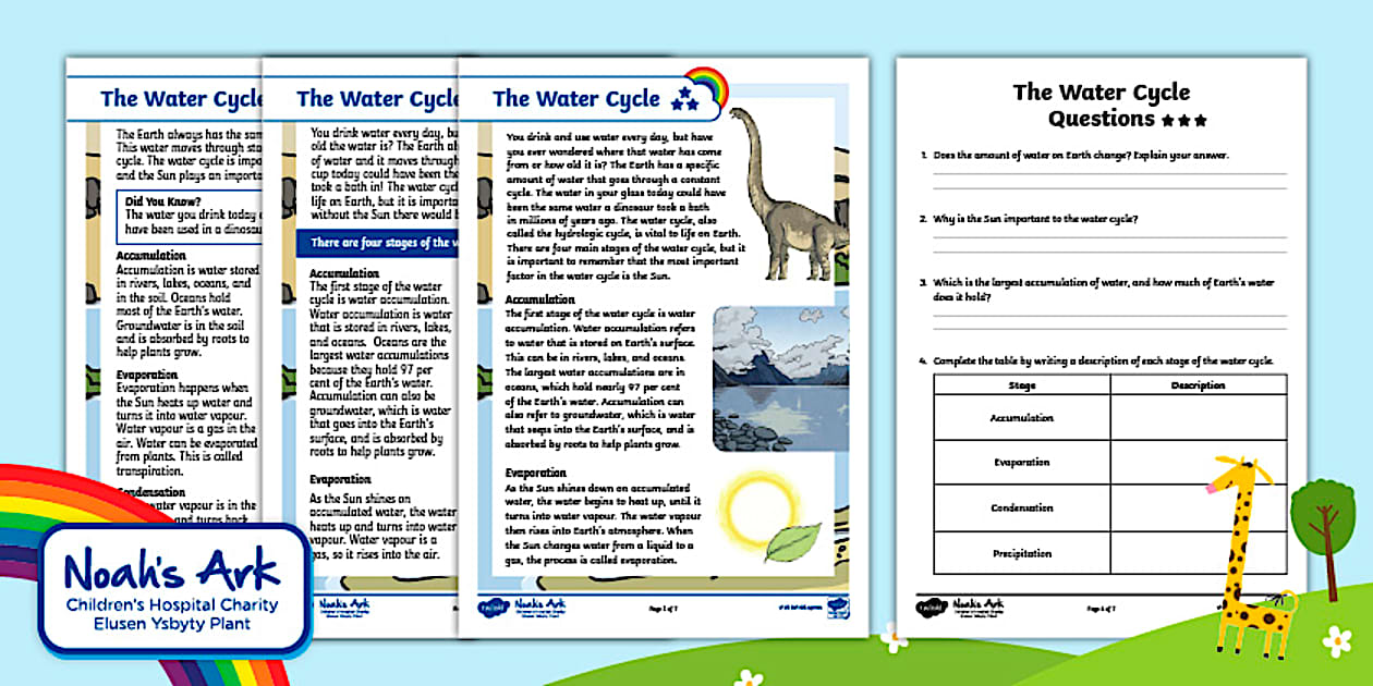 FREE! - The Water Cycle Differentiated Reading Comprehension Activity