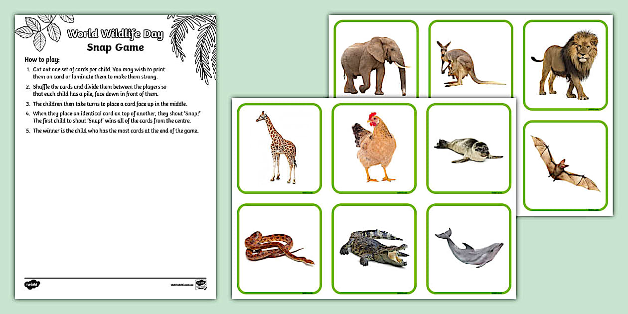 World Wildlife Day Snap Game (teacher made) - Twinkl