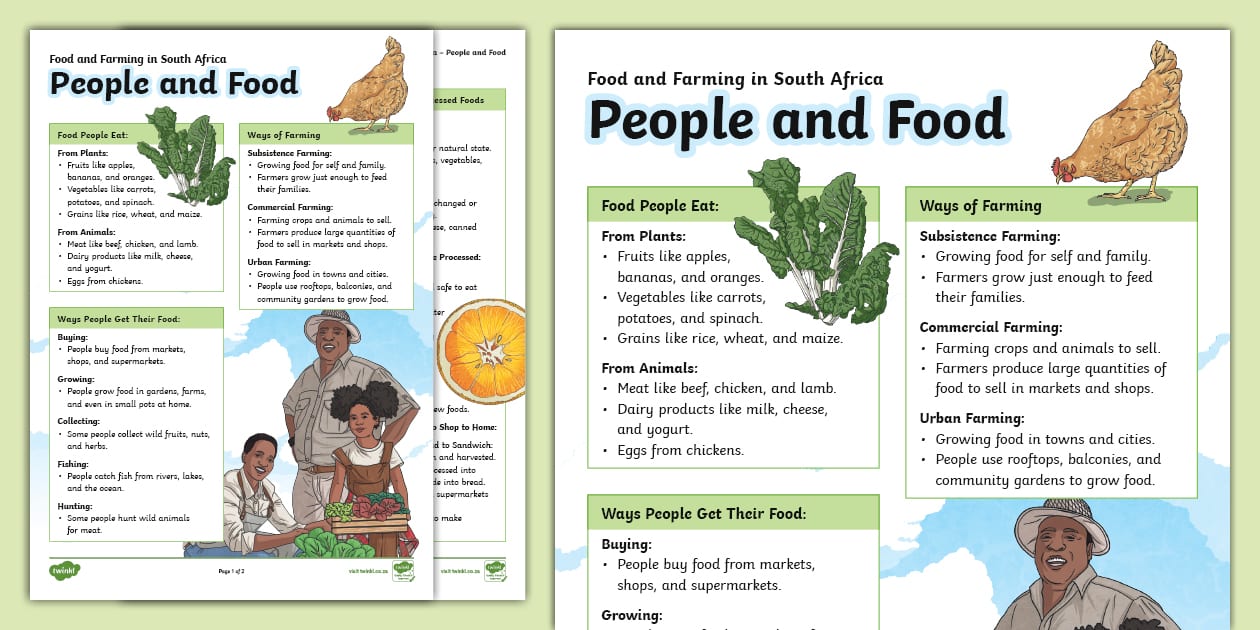 Grd 4 Geography Study Notes Term 3: Food and Farming in SA