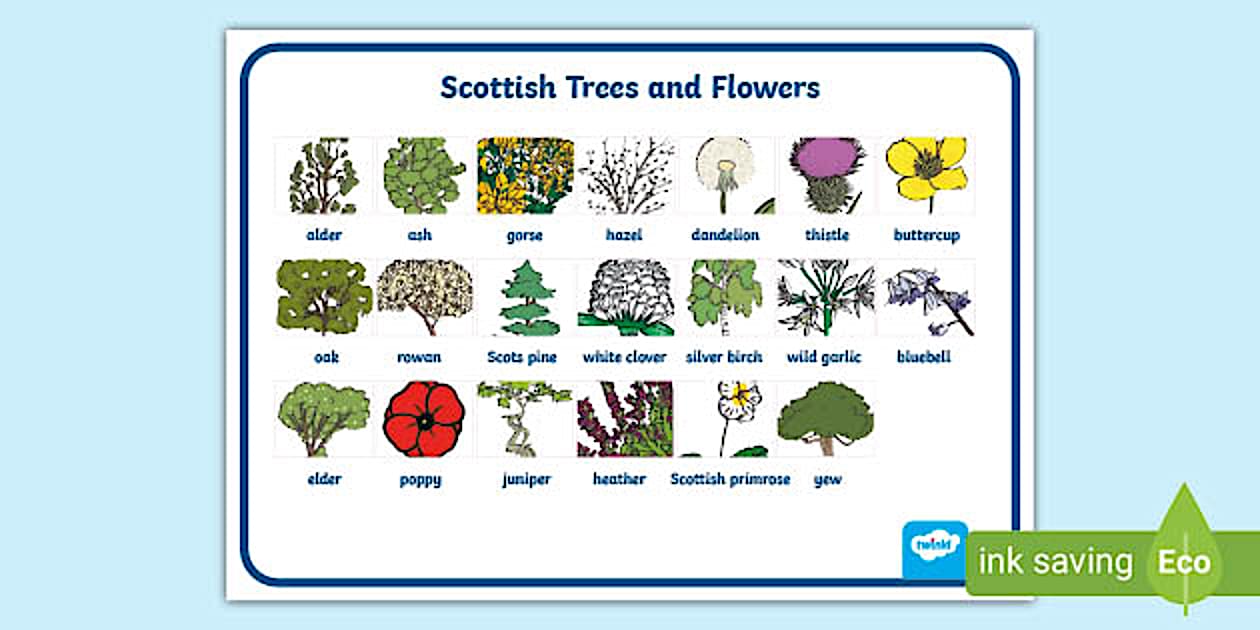 Scottish Trees and Flowers Word Mat (teacher made) - Twinkl