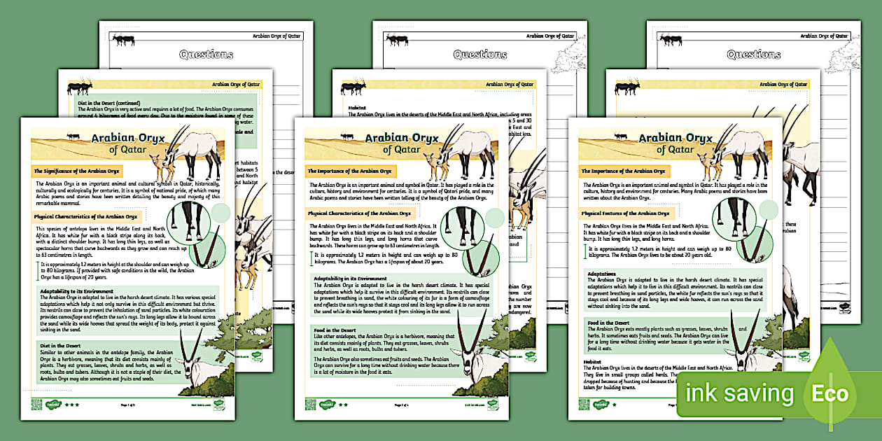 The Arabian Oryx of Qatar Reading Comprehension - Twinkl