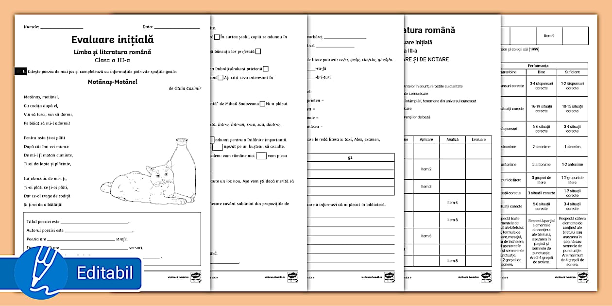 Evaluare inițială LLR (Limba și Literatura Română) Clasa 3