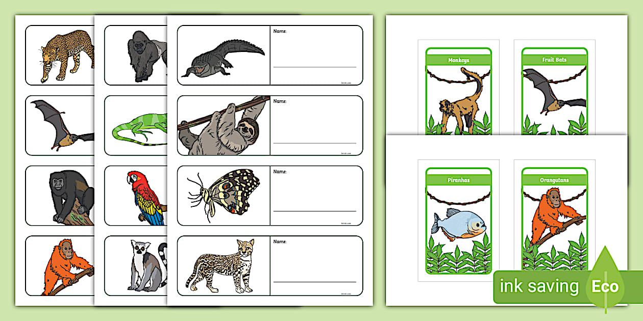 Jungle And Rainforest Label Tags And IKEA Tolsby/Fiestad Frame