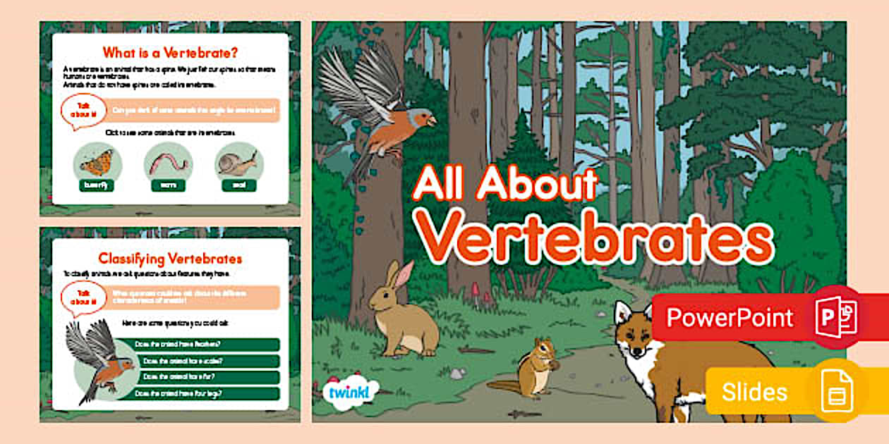 All About Vertebrates PowerPoint & Google Slides for K-2nd Grade