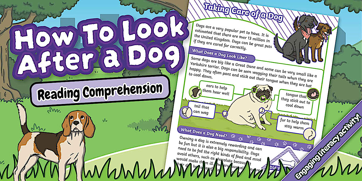 KS1 How To Look After a Dog Reading Comprehension Activity