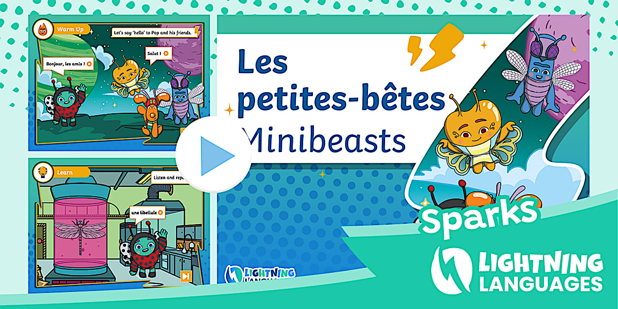 👉 Lightning Languages French Sparks Minibeasts PowerPoint 1