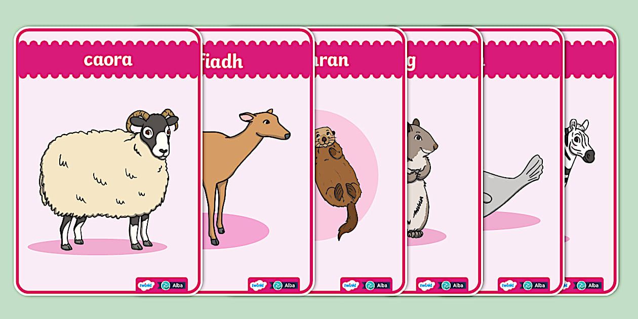 Scottish Gaelic Animal Display Posters (teacher made)