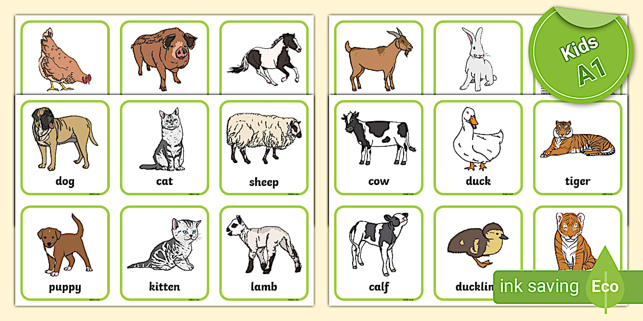 ESL Baby Animals Matching Cards [Kids, A1] (Teacher-Made)