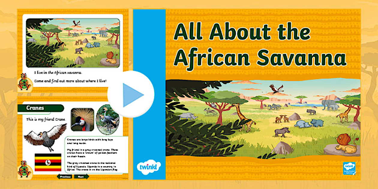 EYFS All About the African Savanna Information PowerPoint