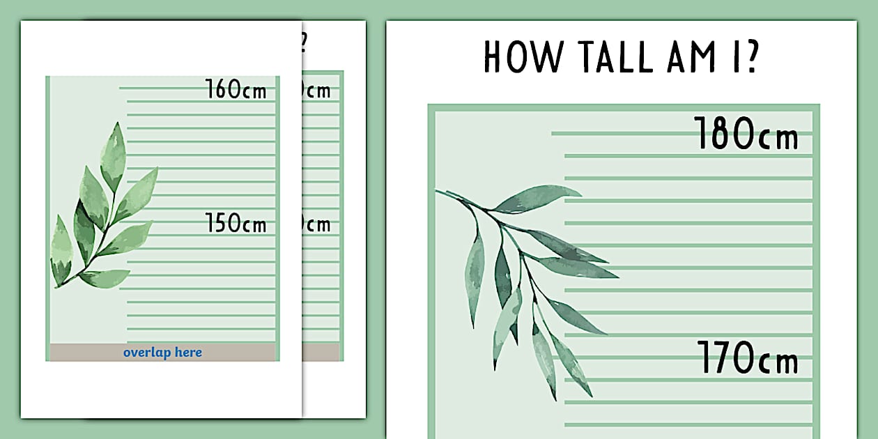 Botanical-Themed Height Chart (teacher made) - Twinkl