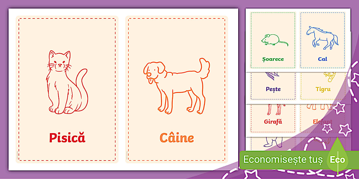 Primele mele cuvinte: Animale – Cartonașe (teacher made)