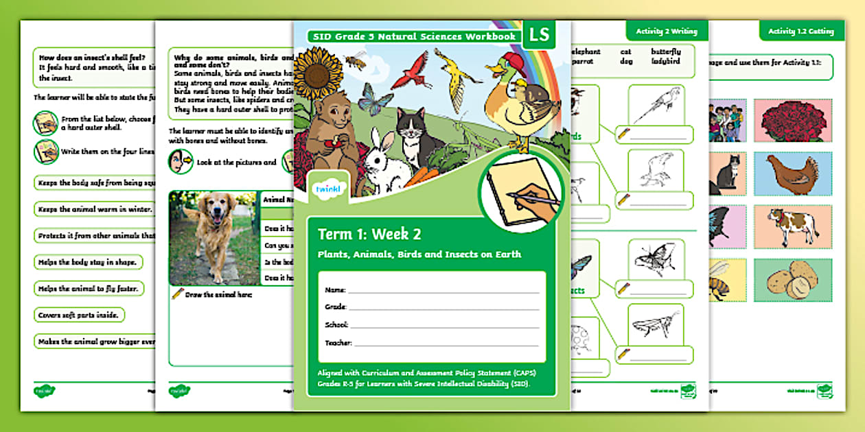 SID: Grade 5 Natural Sciences Booklet Term 1 Week 2 LS