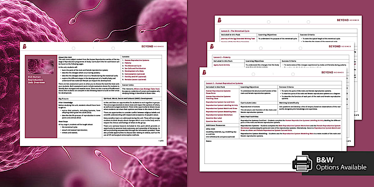 KS3 Human Reproduction Unit Overview | Science | Beyond