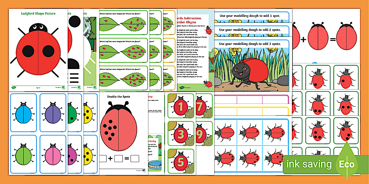 👉 Ladybird Maths Activity Pack (teacher made) - Twinkl