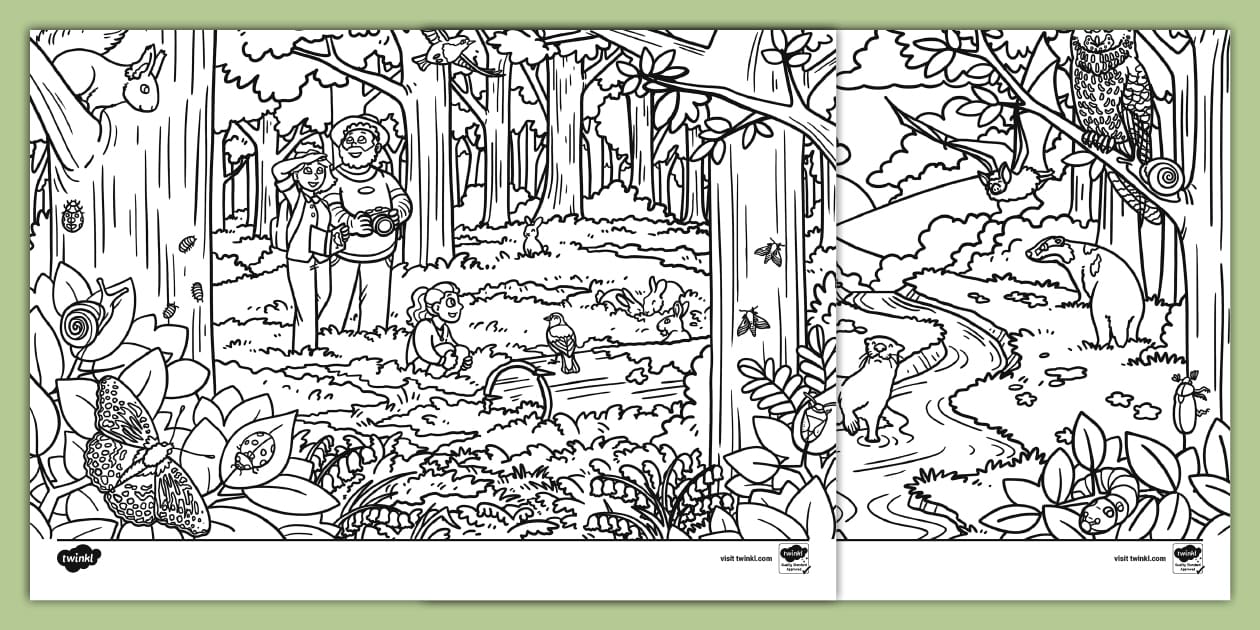 Spring Woodlands Northern Ireland Colouring Activity