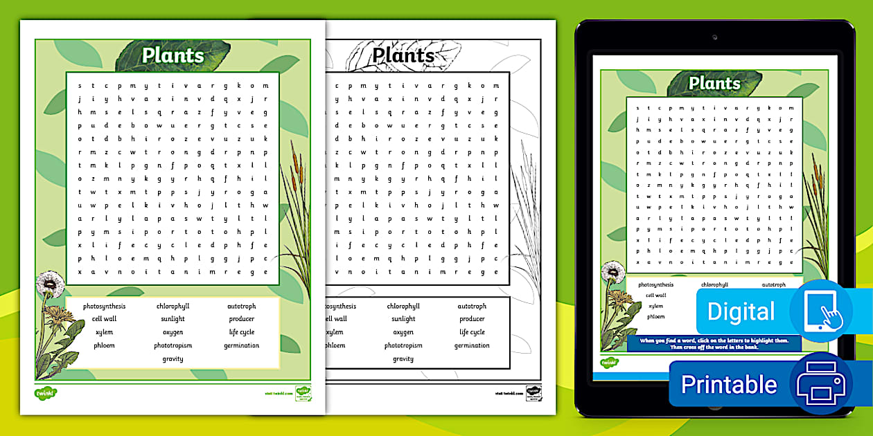 Word Search 3rd Grade | Plants | Twinkl USA (Teacher-Made)