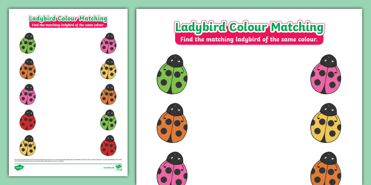 Ladybird Colour Matching Worksheet (teacher made) - Twinkl