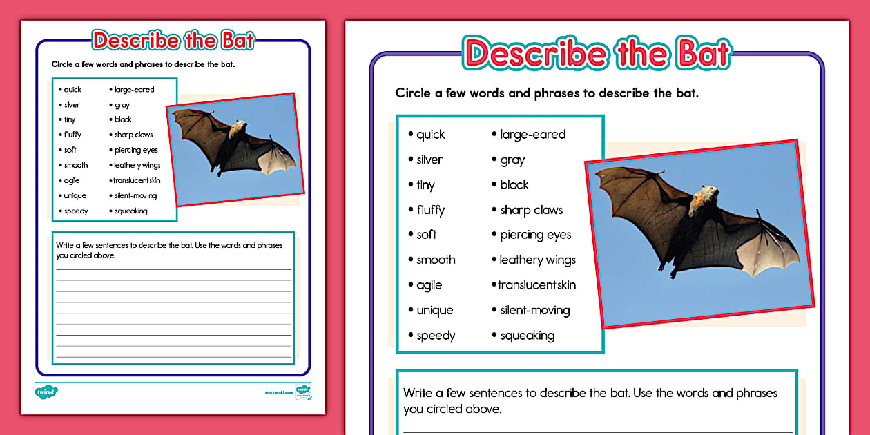 First Grade Describe the Bat Writing Worksheet - Twinkl