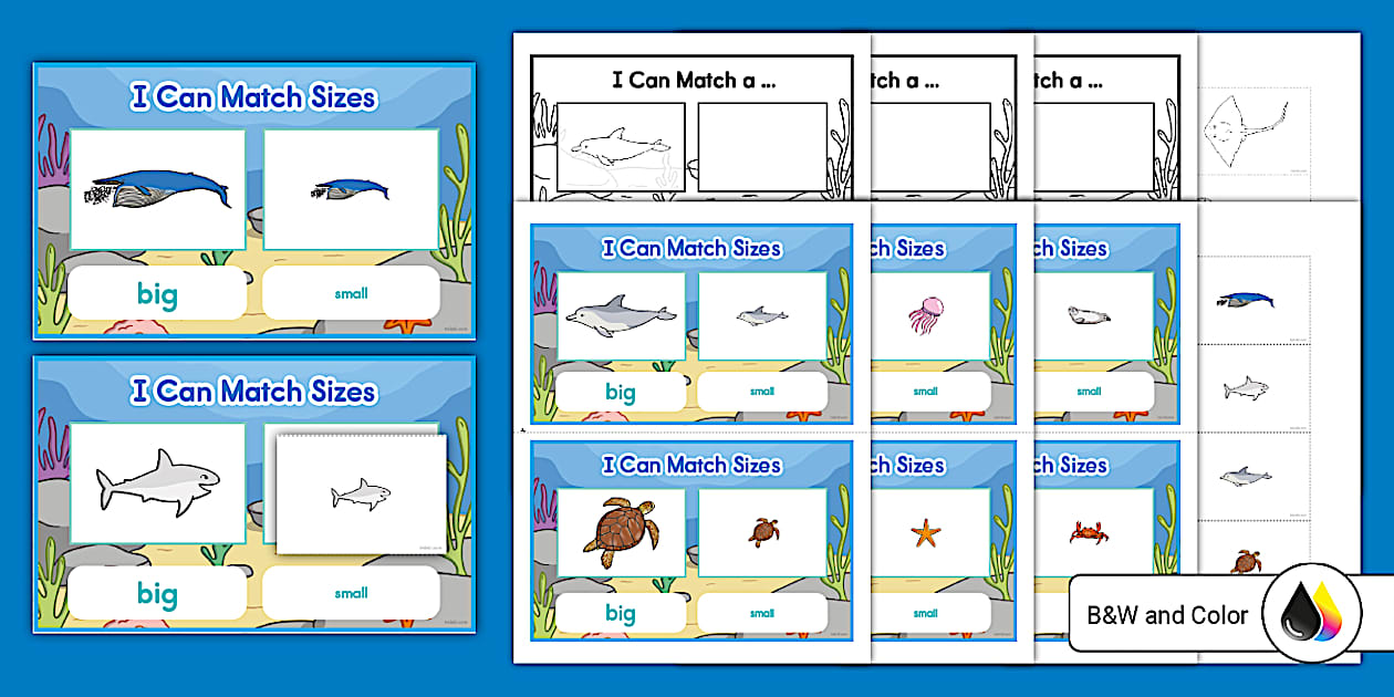 Early Childhood Ocean Animals Size Matching Busy Bag