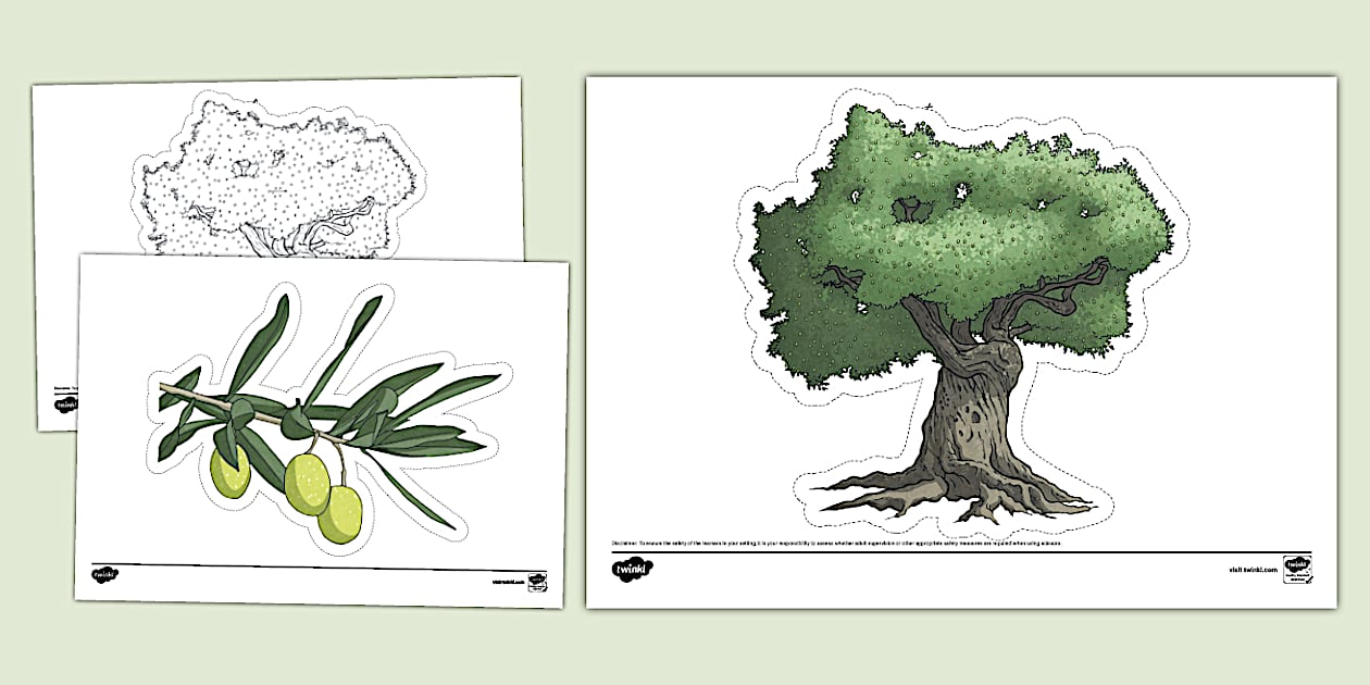 Olive Tree Cut-Outs (teacher made) - Twinkl