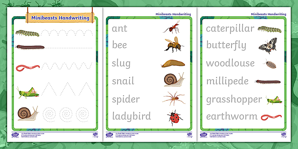 Minibeasts Handwriting Worksheets (teacher made) - Twinkl