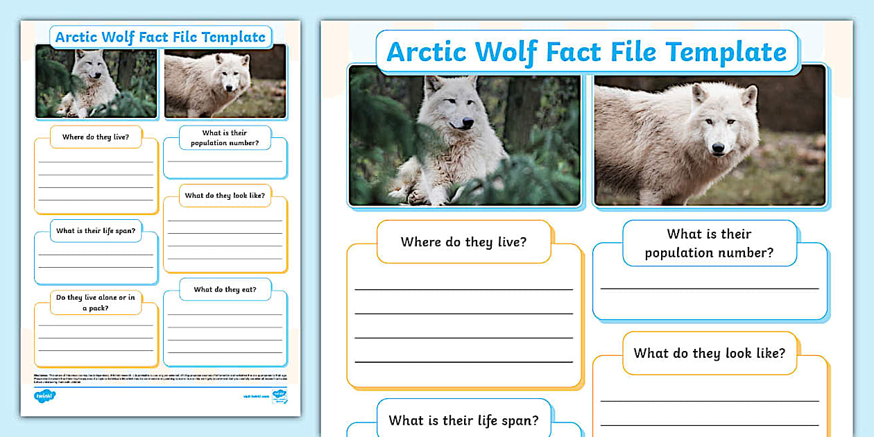 Arctic Wolf Fact File Template (teacher made) - Twinkl