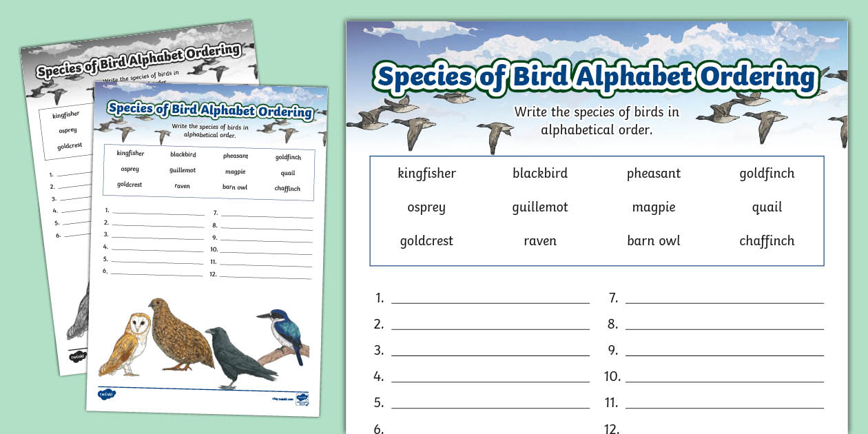 Species of Bird Alphabet Ordering Worksheet (teacher made)