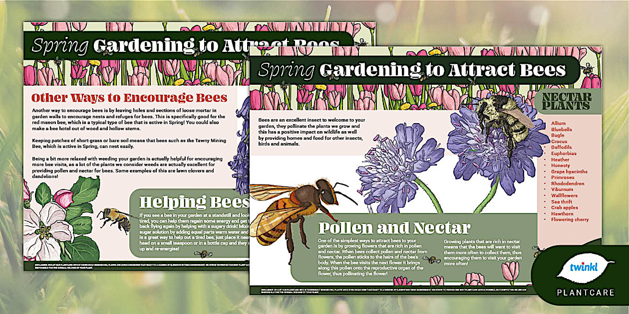 Spring Gardening to Attract Bees, Spring Garden, Flowers