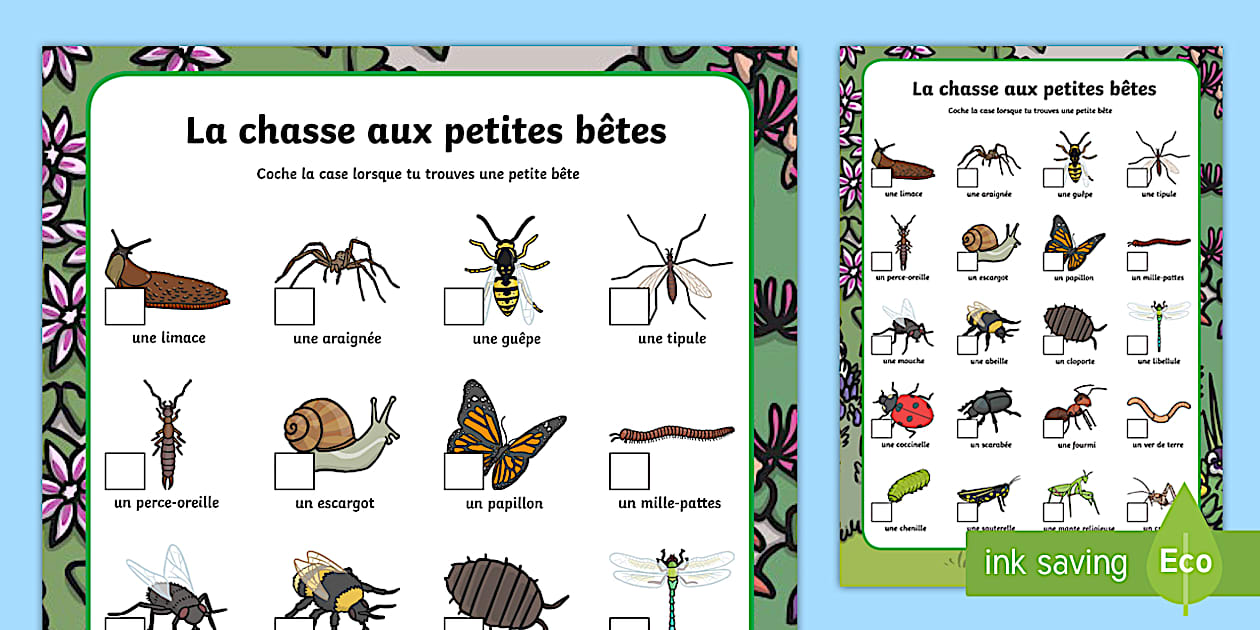 La chasse aux petites bêtes