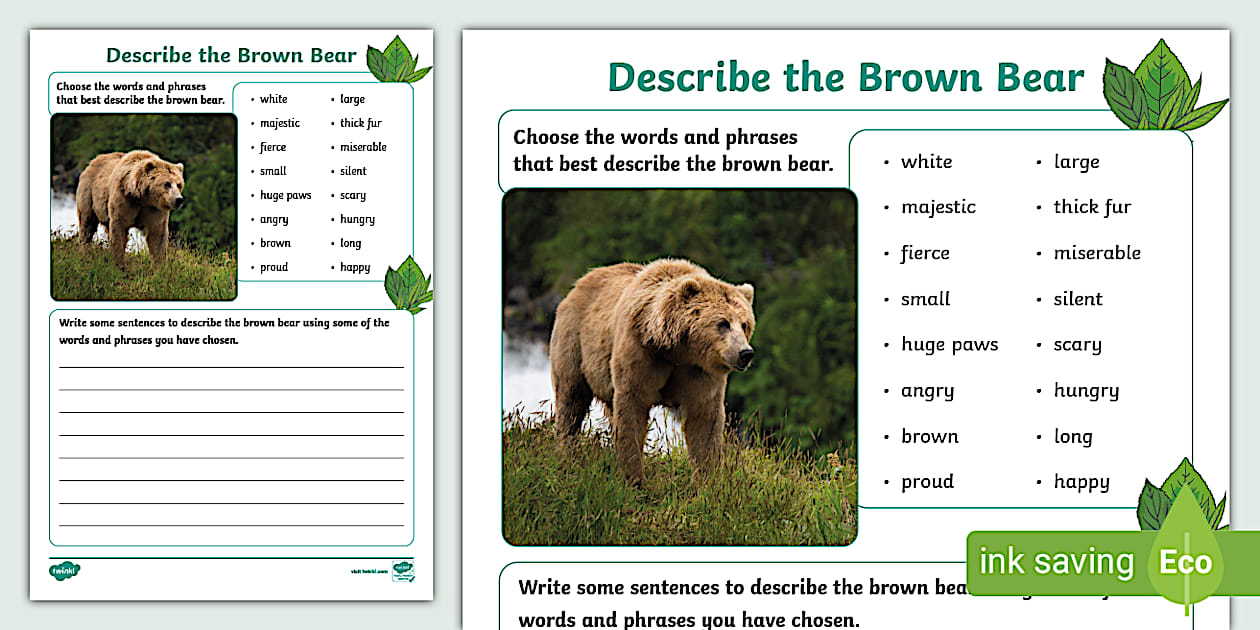 Describe the Brown Bear Worksheet