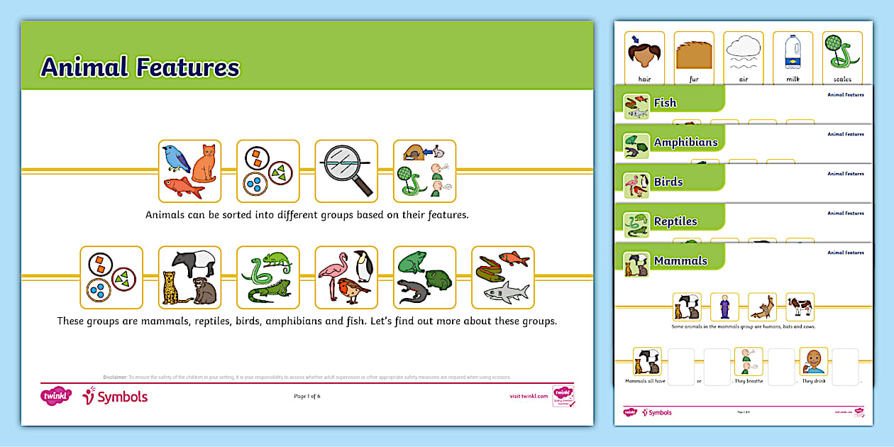 Twinkl Symbols: Animal Features Gap Fill Worksheet (Lesson 2)