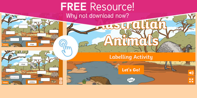 FREE! - Australian Animals Interactive Labelling Activity