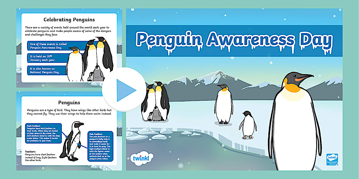 Penguin Awareness Day PowerPoint (Teacher-Made) - Twinkl