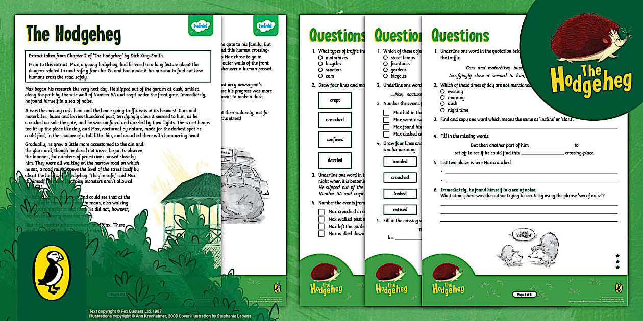 FREE! - Hodgeheg Comprehension | Puffin Books | Twinkl Resources