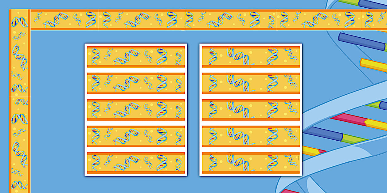 Genetics Double Helix DNA Bulletin Board Borders - Twinkl