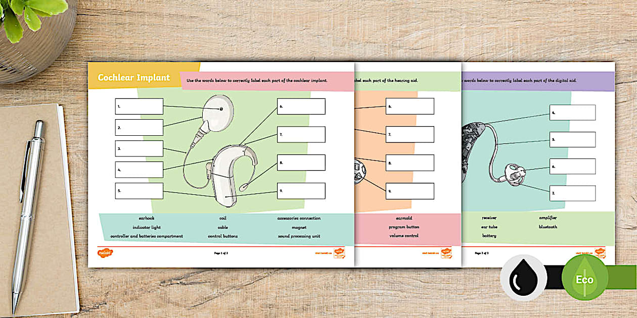 Parts of a Hearing Aid Worksheet | Deaf Awareness - Twinkl