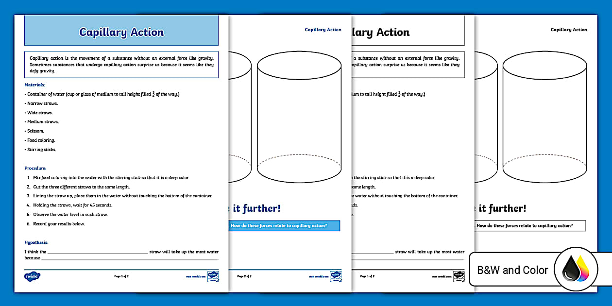 Third Grade Capillary Action Project | Resource | Twinkl USA
