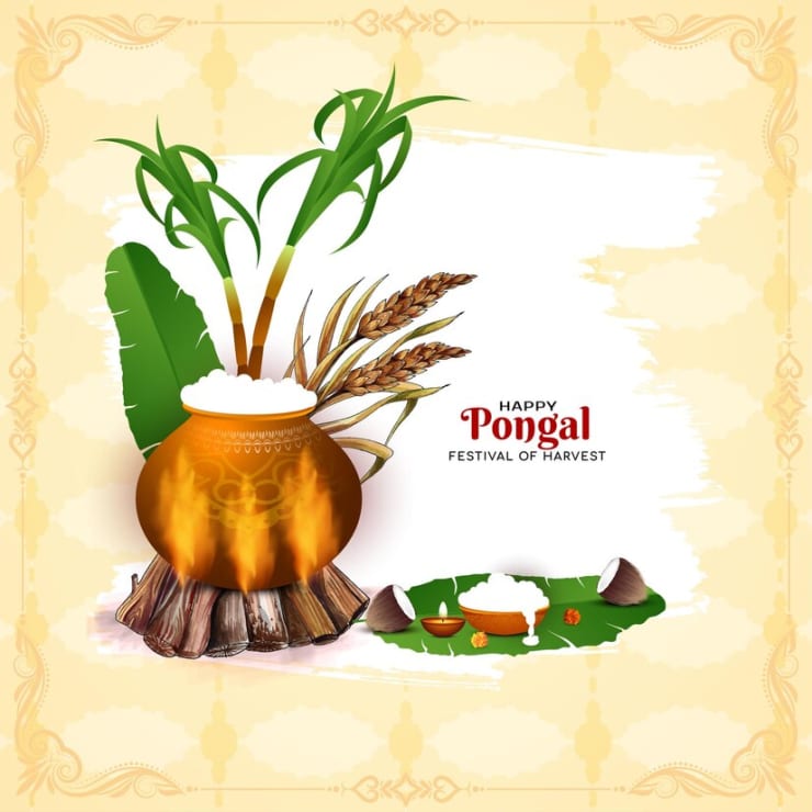 Pongal 2026 - Festivals and Celebrations - Indian Events