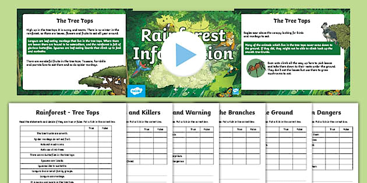 Rainforest Information PowerPoint and Worksheet Pack - australia