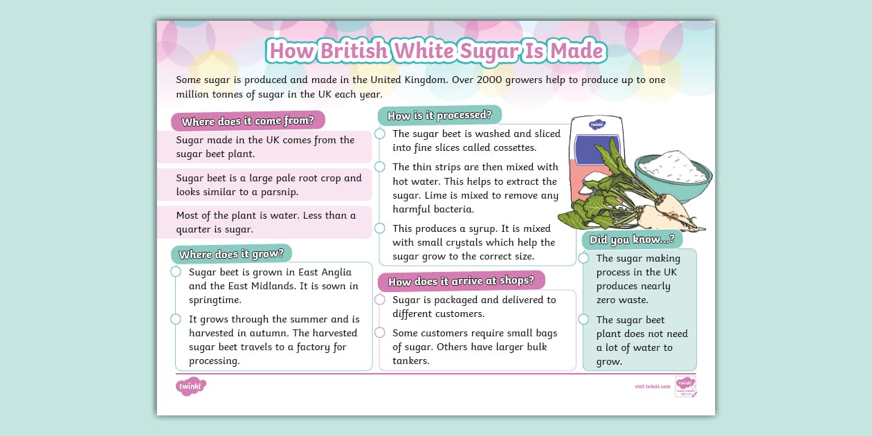 How is White Sugar Made in the United Kingdom? Fact File