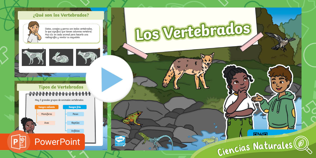 PowerPoint | Vertebrados | Invertebrados | Seres vivos