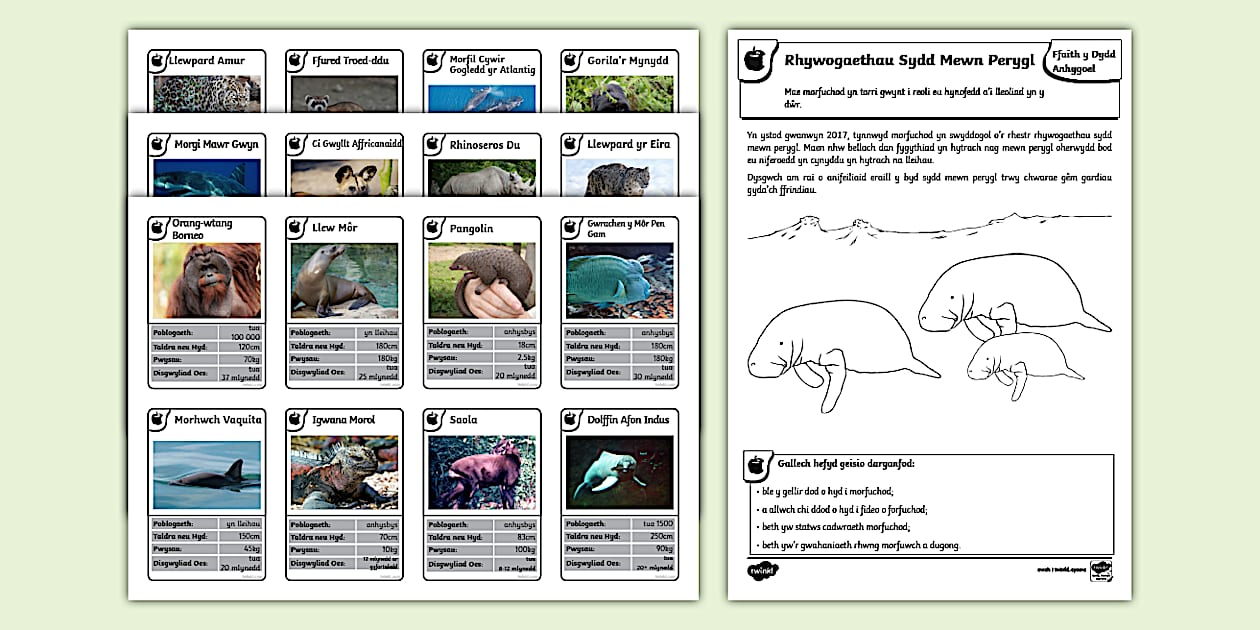 Gêm Gardiau Rhywogaethau Sydd Mewn Perygl (teacher made)