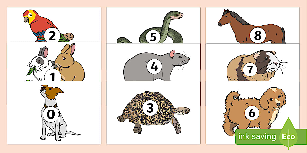 National Pet Month: 0-20 on Mixed Pets Cut Outs - Twinkl
