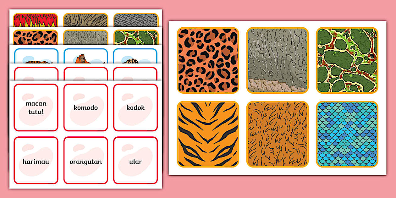 Indonesian Animal Skin Pattern Matching Cards - Twinkl