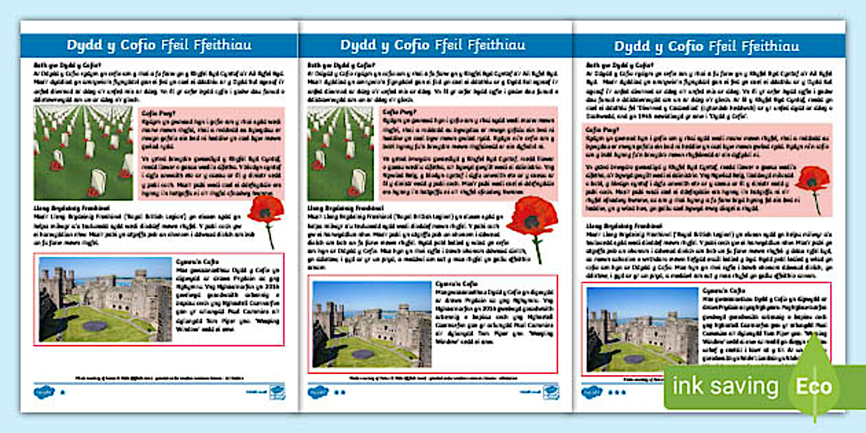 Dydd y Cofio Ffeil Ffeithiau (teacher made) - Twinkl