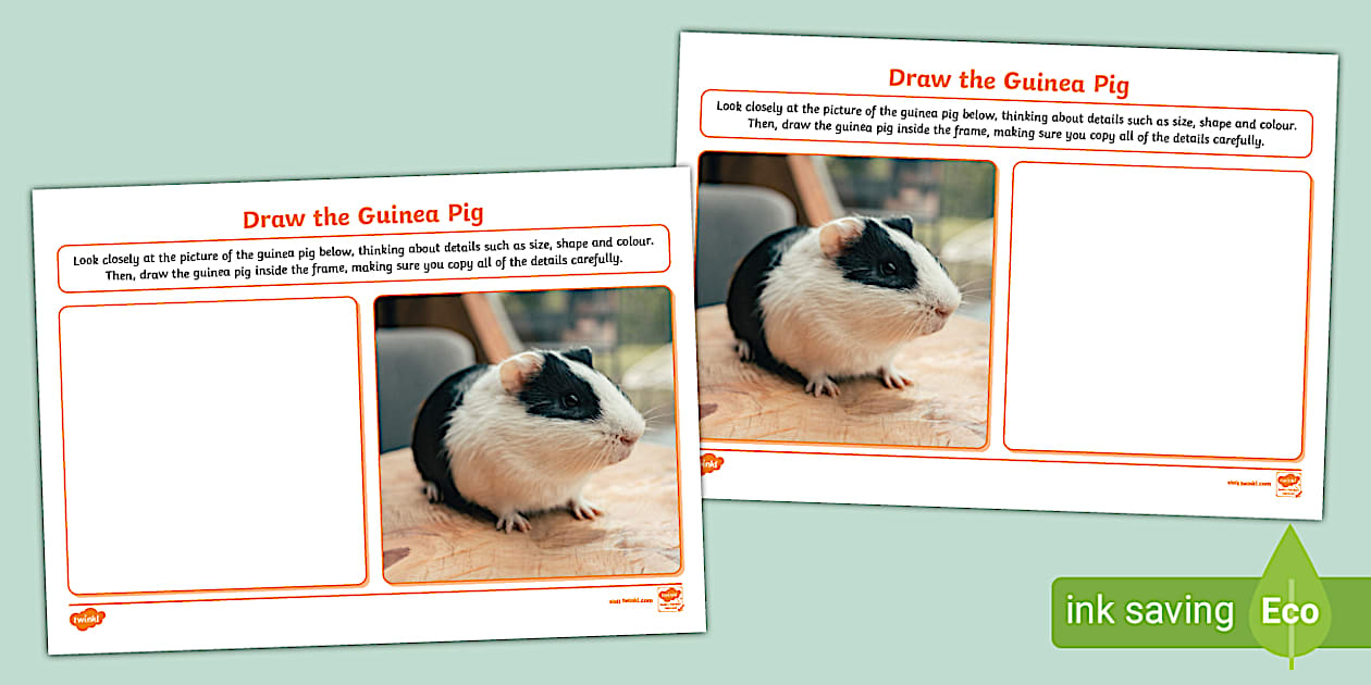 Draw the Guinea Pig Art Activity (teacher made) - Twinkl