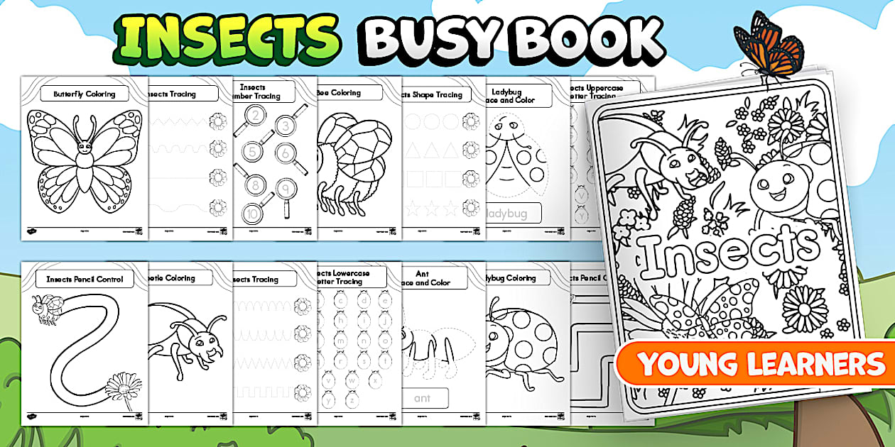 Insects Toddler Busy Book (teacher made) - Twinkl
