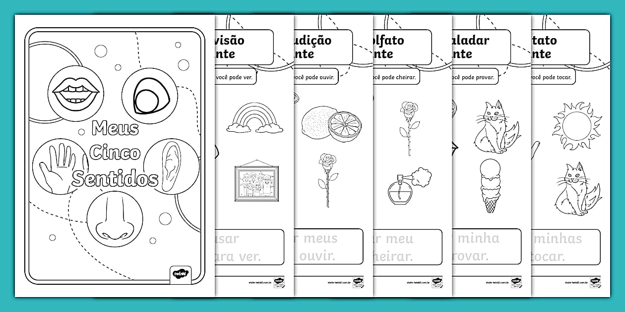 Livreto dos Cinco Sentidos {sentidos} (teacher made)